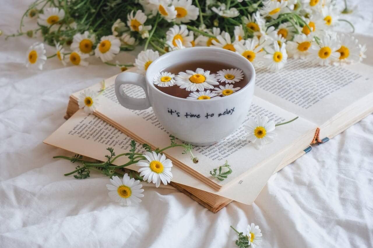 Chamomile Tea Side Effects: 7 Surprising Risks You Must Know